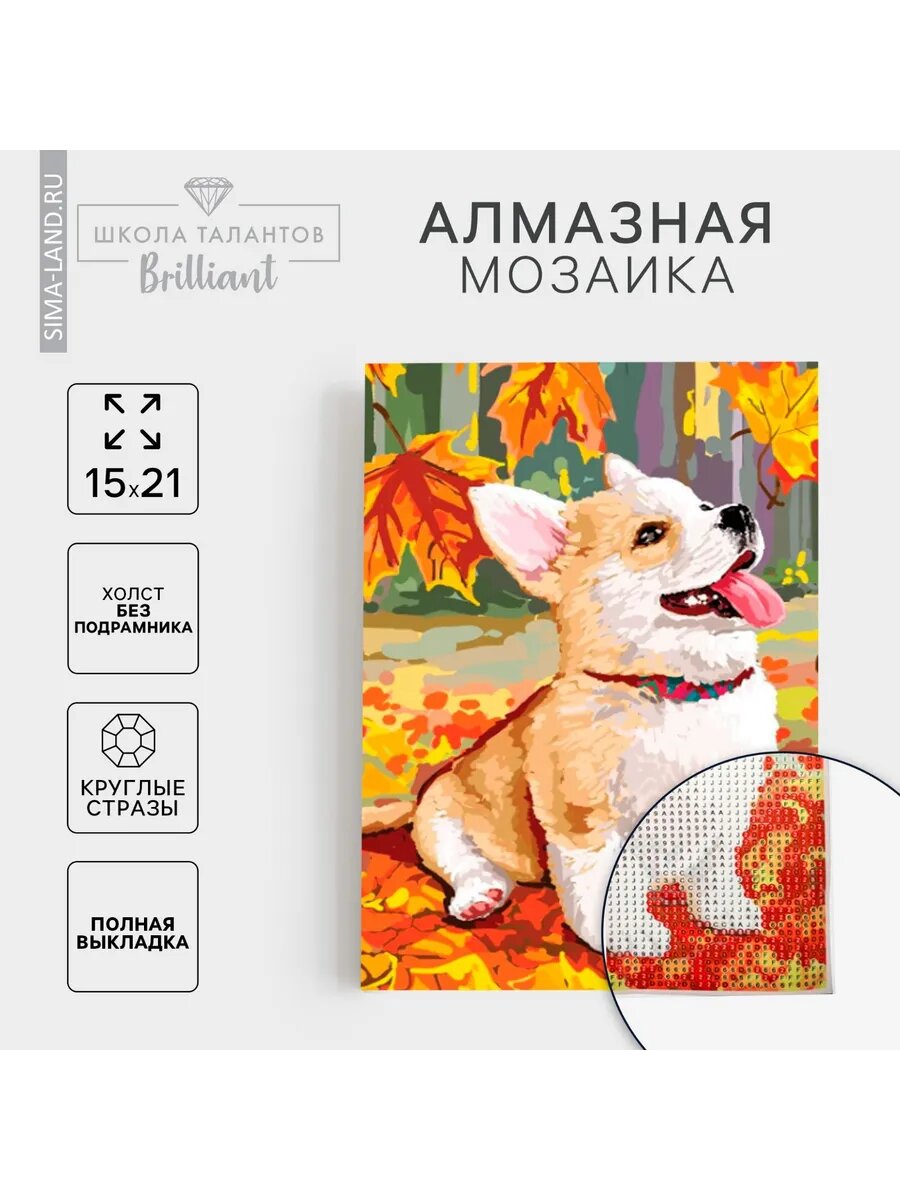 Алмазная мозаика с полным заполнением Корги