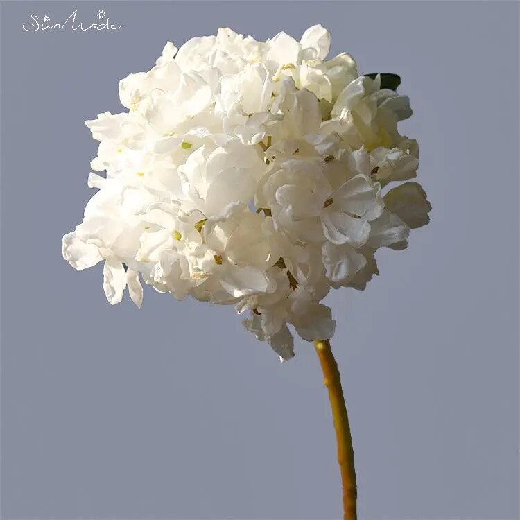 SunMade Ретро-сушеный франх Гортензия Белый, White