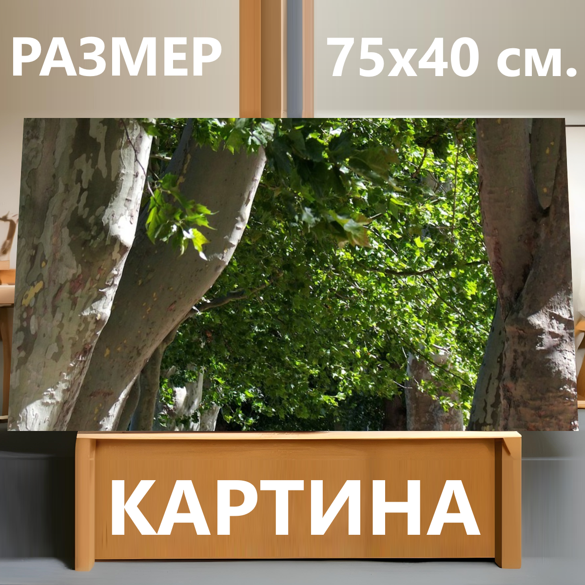 Картина на холсте "Дорога, деревья, платан" на подрамнике 75х40 см. для интерьера