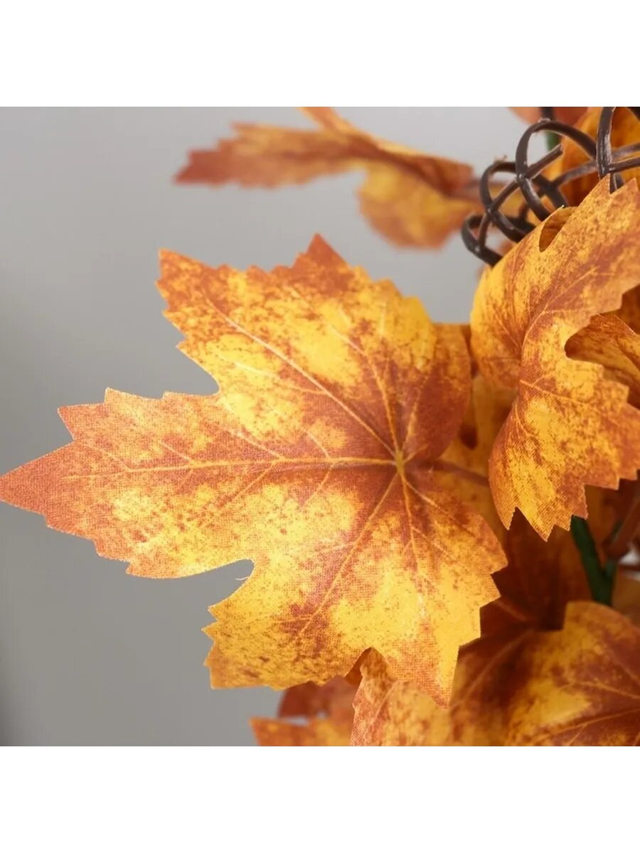 Эстетичный бонсай для вашего интерьера