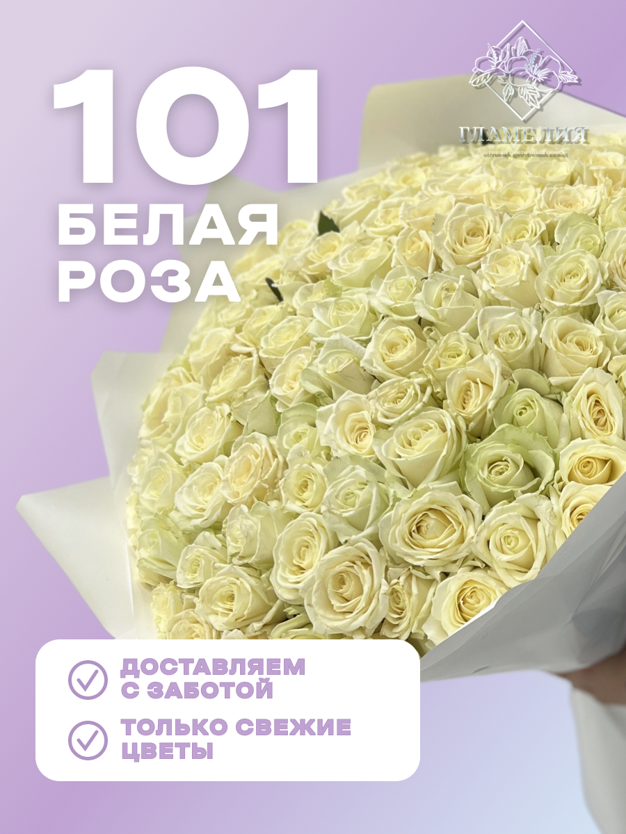 Гламелия цветы Белый Абсолют: монобукет из 101 розы Avalanche – купить свежие цветы с доставкой в Москве