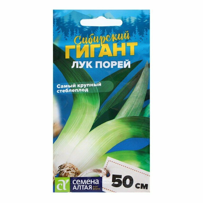 Семена Лук порей «Сибирский Гигант», 0.5 г, «Семена Алтая»