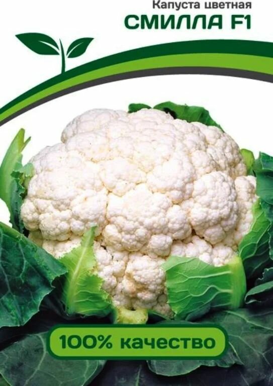 Коллекционные семена капусты цветная Смилла F1
