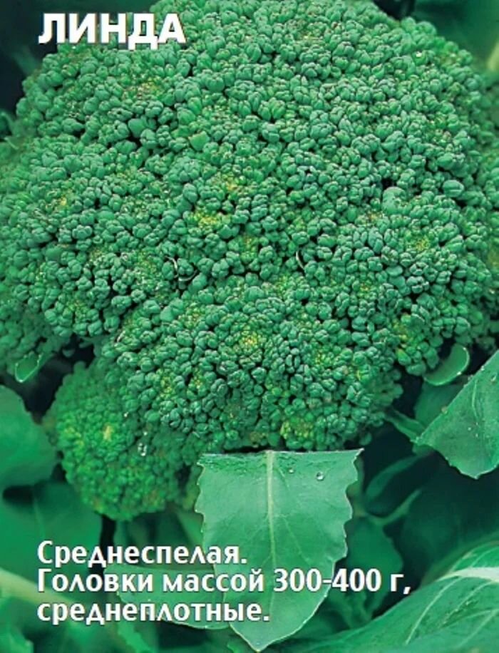 Коллекционные семена капусты брокколи Линда