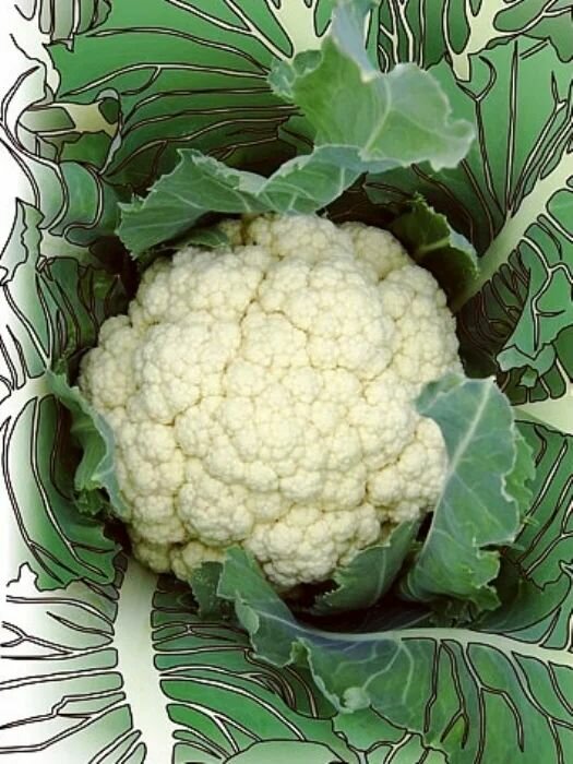 Коллекционные семена капусты цветная Фудзияма F1