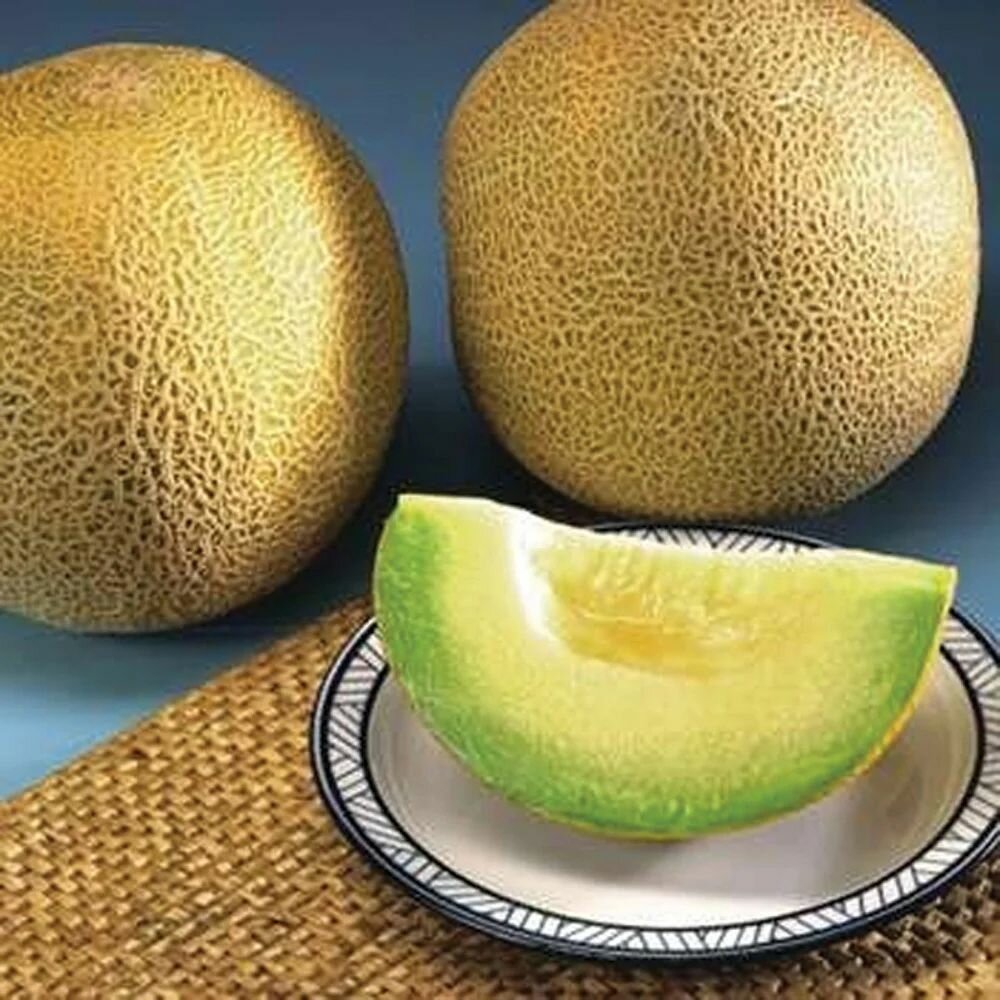 Коллекционные семена дыни Осень/