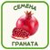 Гранат. Семена граната