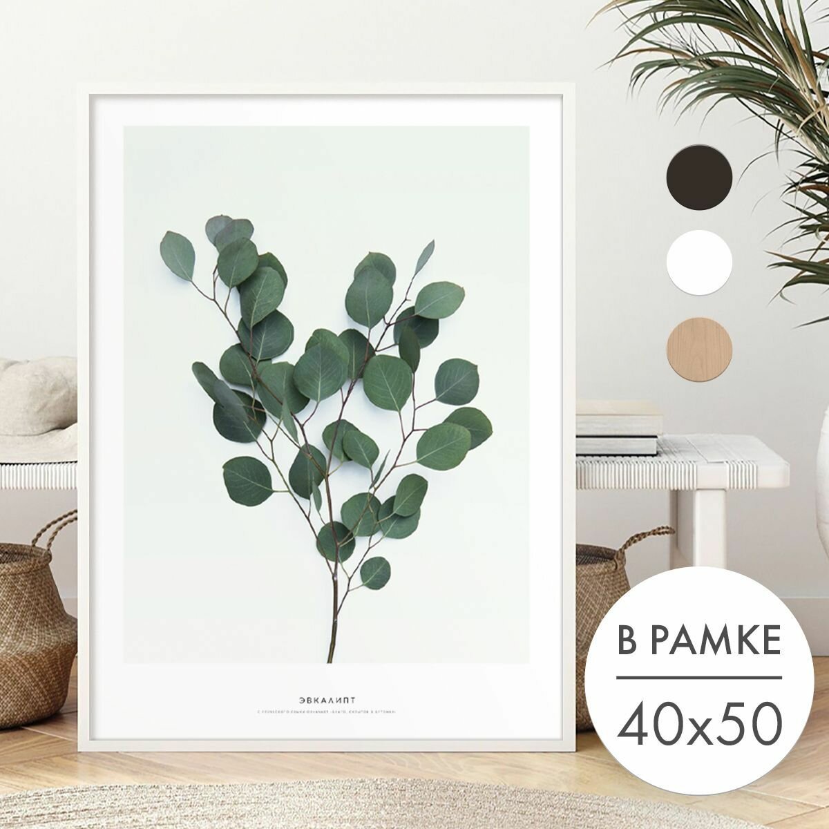 Постер 40х50 В рамке "Эвкалипт" для интерьера