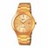 Наручные часы CASIO Analog