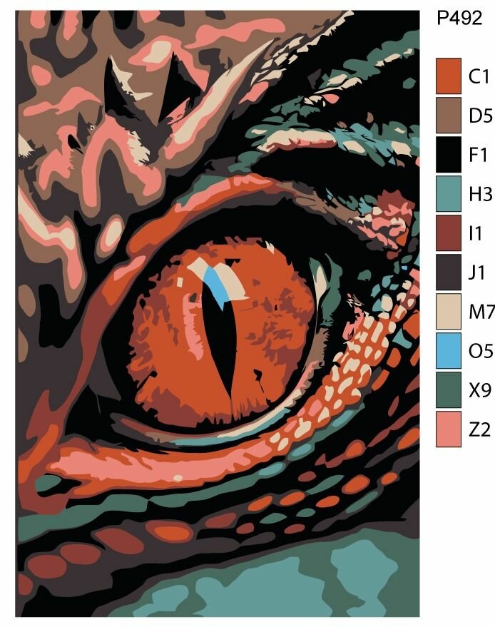 Детская картина по номерам P492 "Красный глаз дракона" 20x30