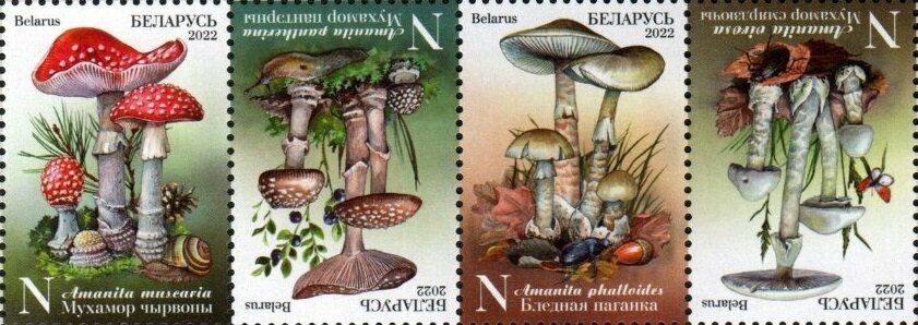 Почтовые марки Беларусь 2022г. "Ядовитые грибы" Грибы, Флора MNH
