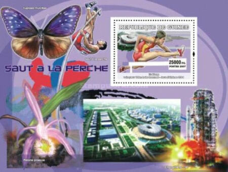Почтовые марки Гвинея 2007г. "Виды Спорта - Прыжки С Шестом" Легкая атлетика, Бабочки, Цветы MNH