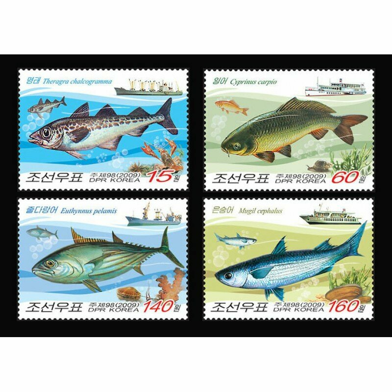Почтовые марки Северная Корея 2009г. "Рыбы" Рыбы MNH
