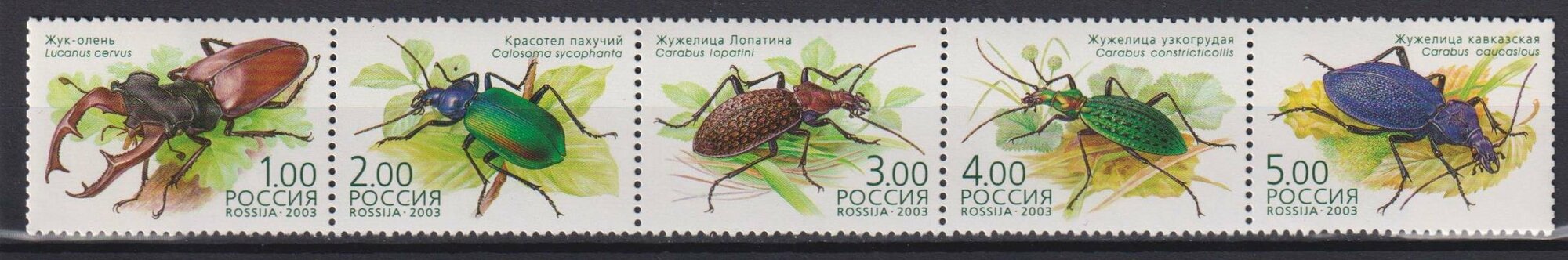 Почтовые марки Россия 2003г. "Жуки" Насекомые MNH