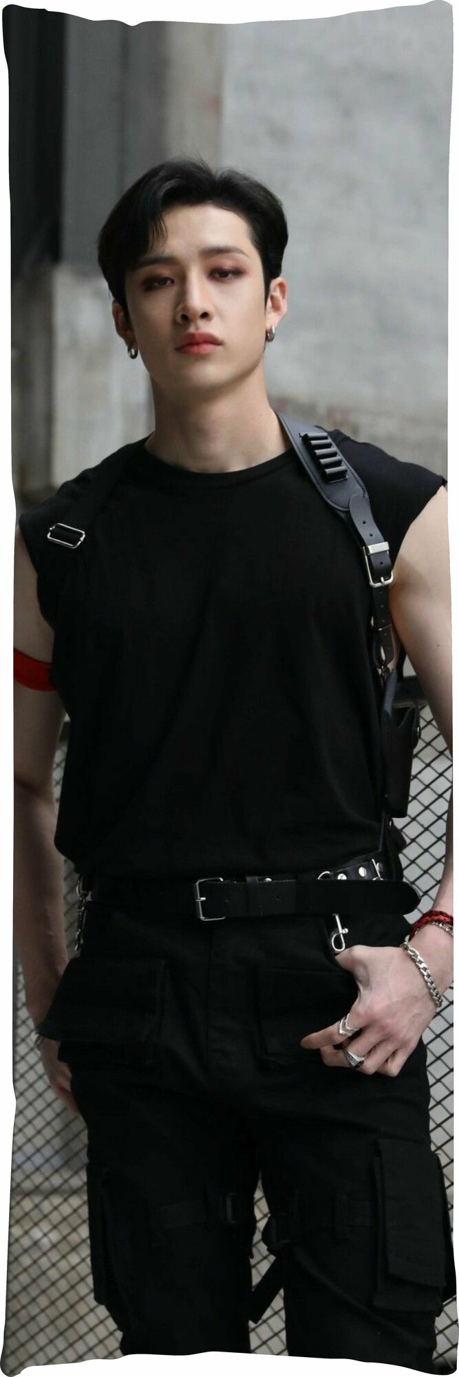 Мини дакимакура Бан Чан Bang Chan