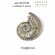 Подвеска морская ракушка фурнитура для украшений в0660(2) Anna Bronze