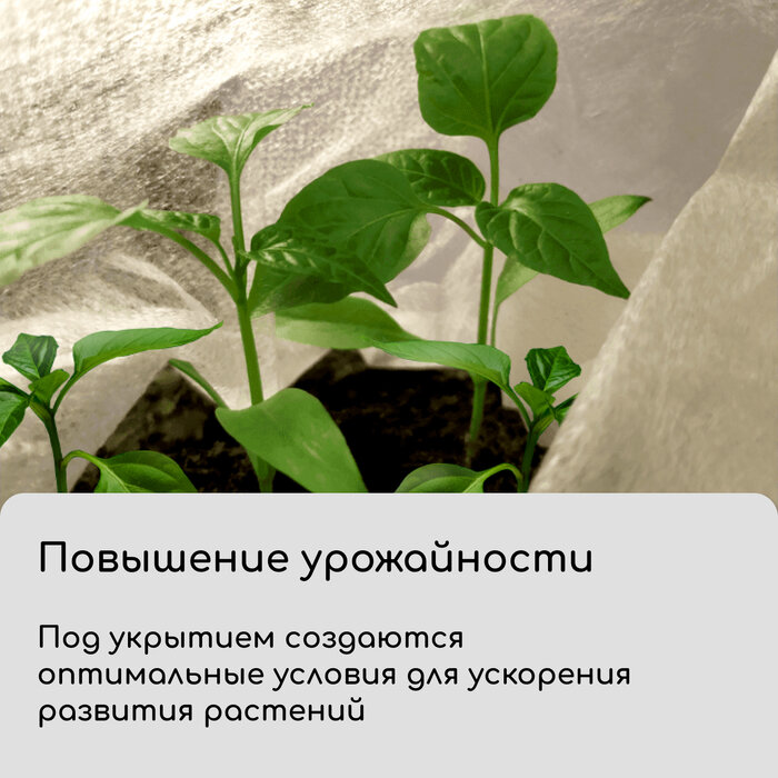 Материал укрывной, 5×3.2 м, плотность 60 г/м², спанбонд с УФ-стабилизатором, белый, Greengo, Эконом 30% — фото 1