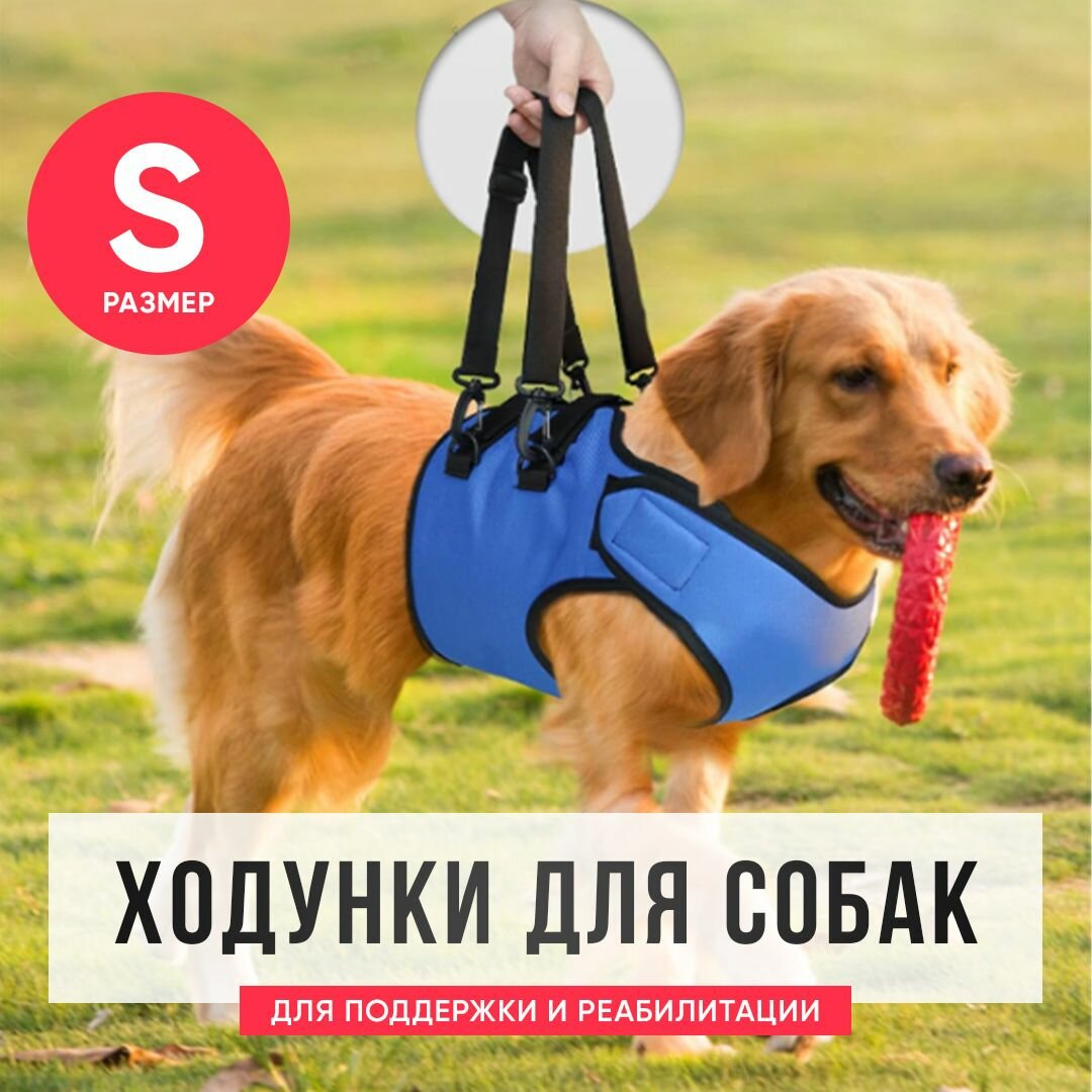 Ходунки для собак. Размер S.