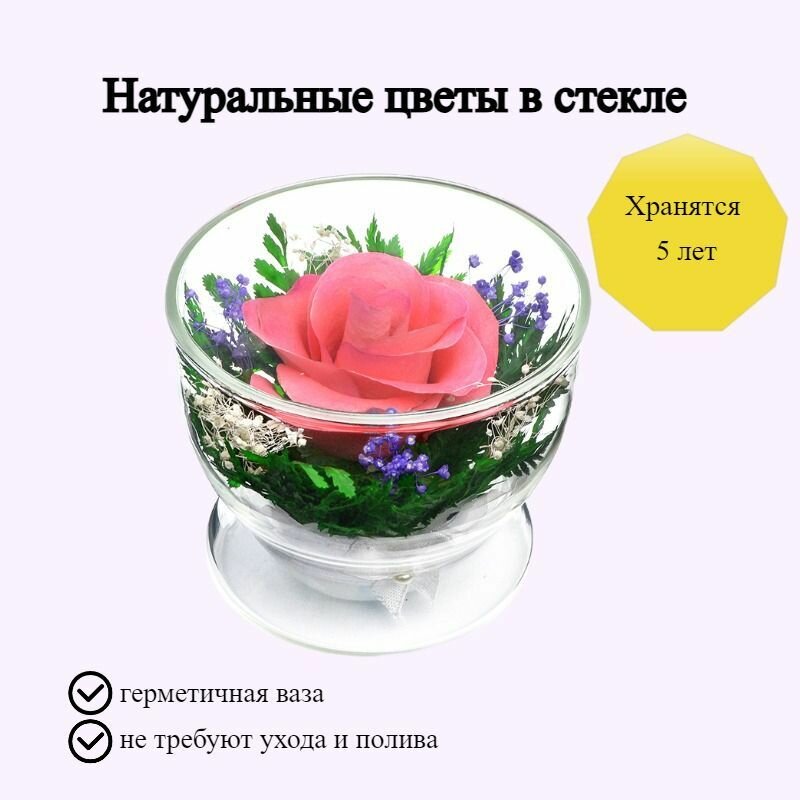 Композиция из натуральных цветов в стекле NFP, 7х8 см