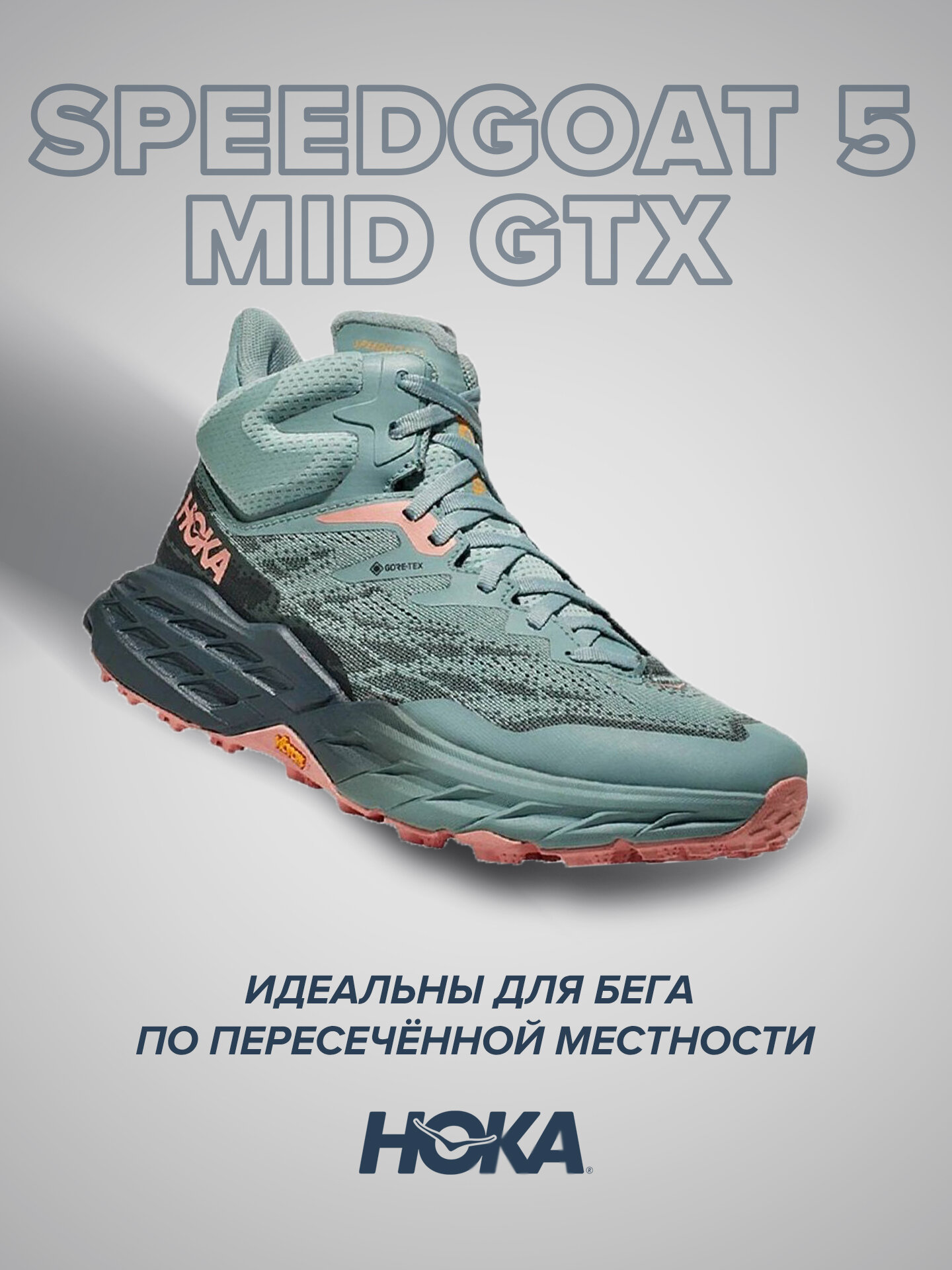 Кроссовки Speedgoat 5 mid GTX