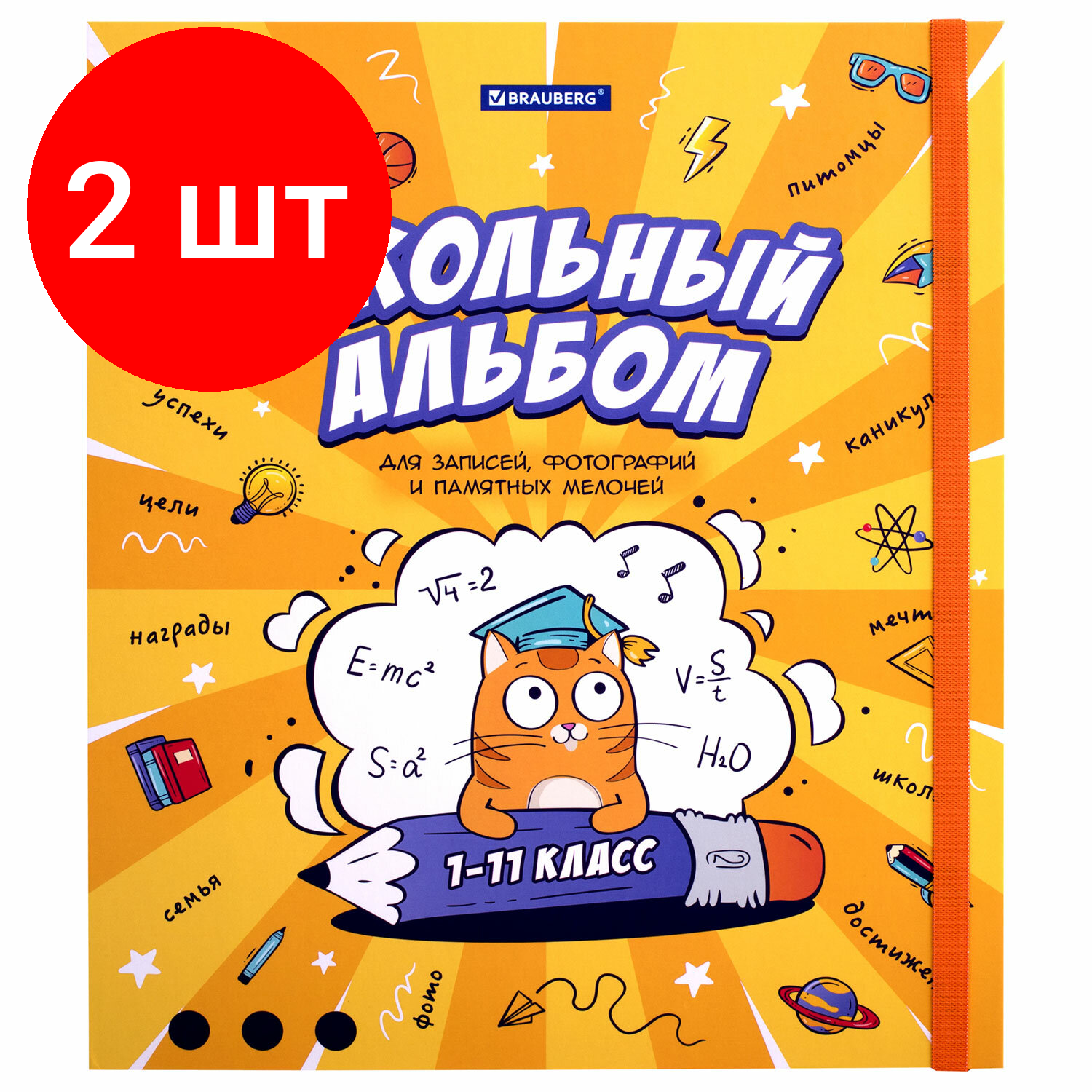 Комплект 2 шт, Папка-портфолио школьника, А4, школьный альбом, 10 вкладышей, магнитный клапан 7БЦ, BRAUBERG, 115242
