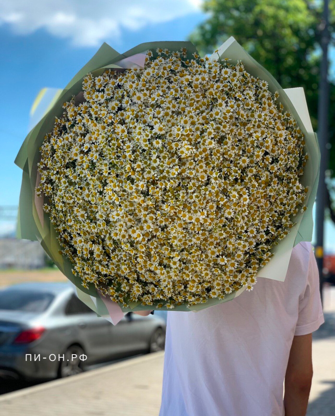 Большой летний букет полевых цветов, кустовые ромашки Камилла 101 шт.