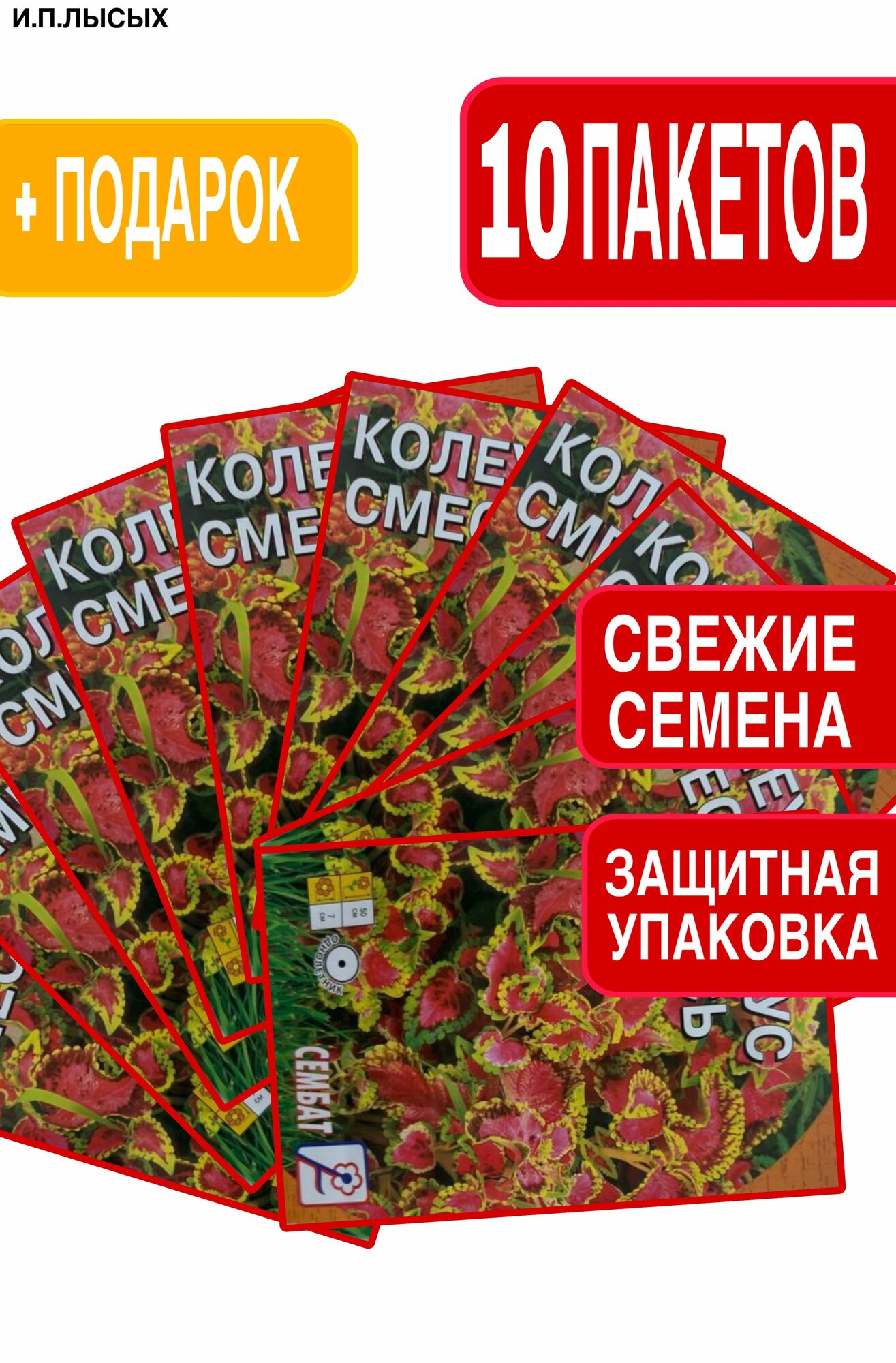 Семена Колеус смесь