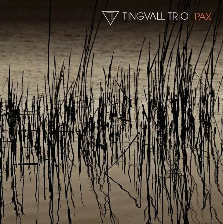 Tingvall Trio - Pax - 2025 - новая виниловая пластинка