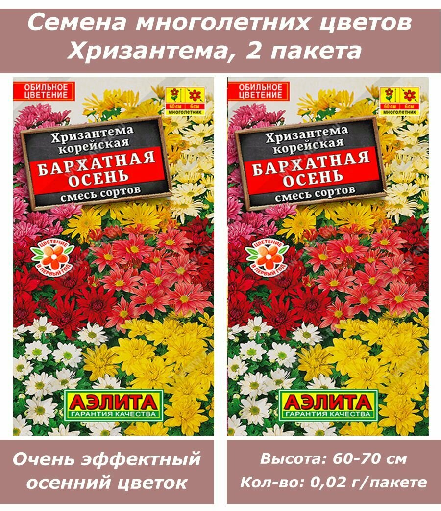 Набор семян, семена многолетних цветов Хризантема
