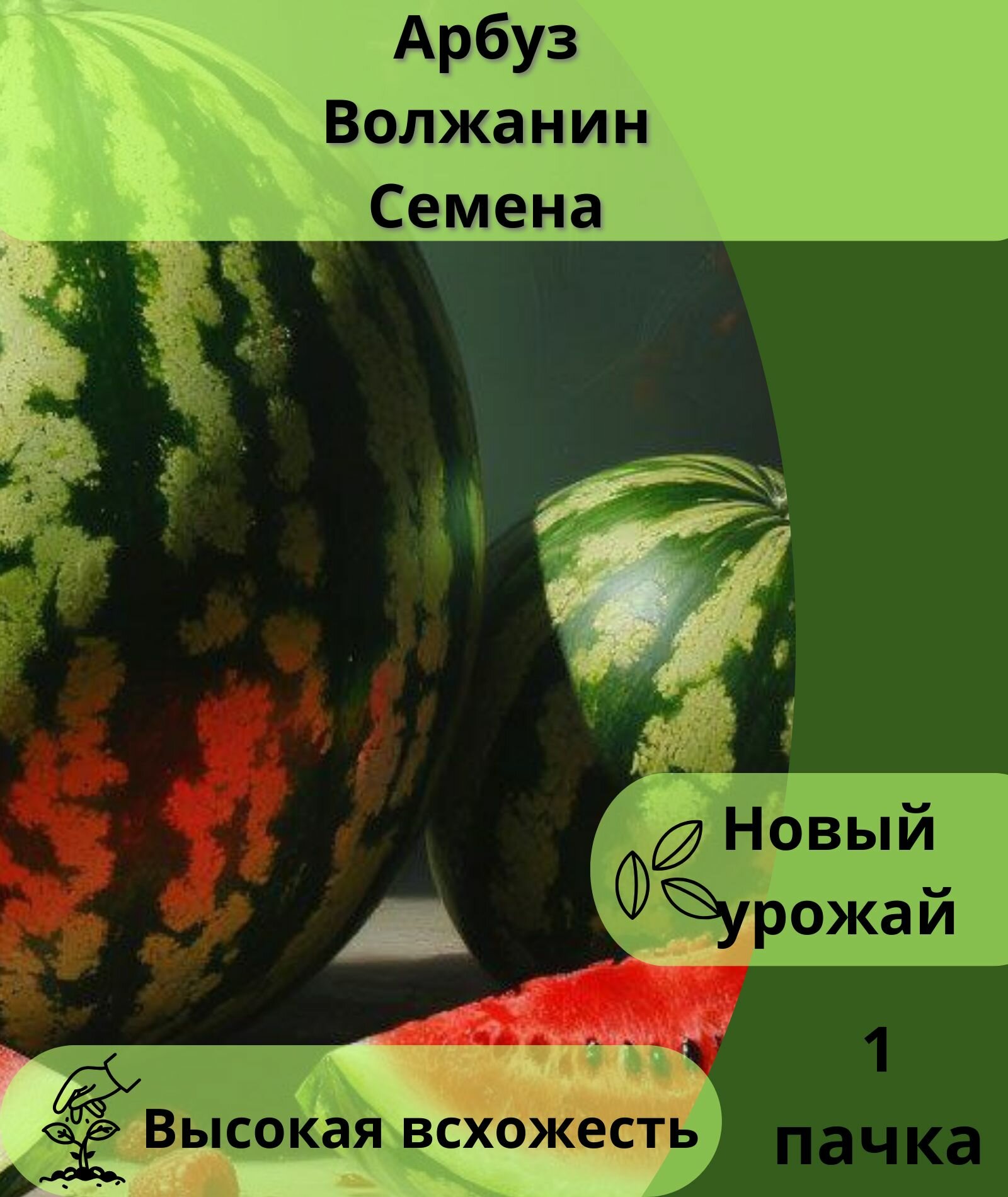 Арбуз Волжанин, семена 10шт