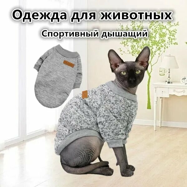 Одежда для животных