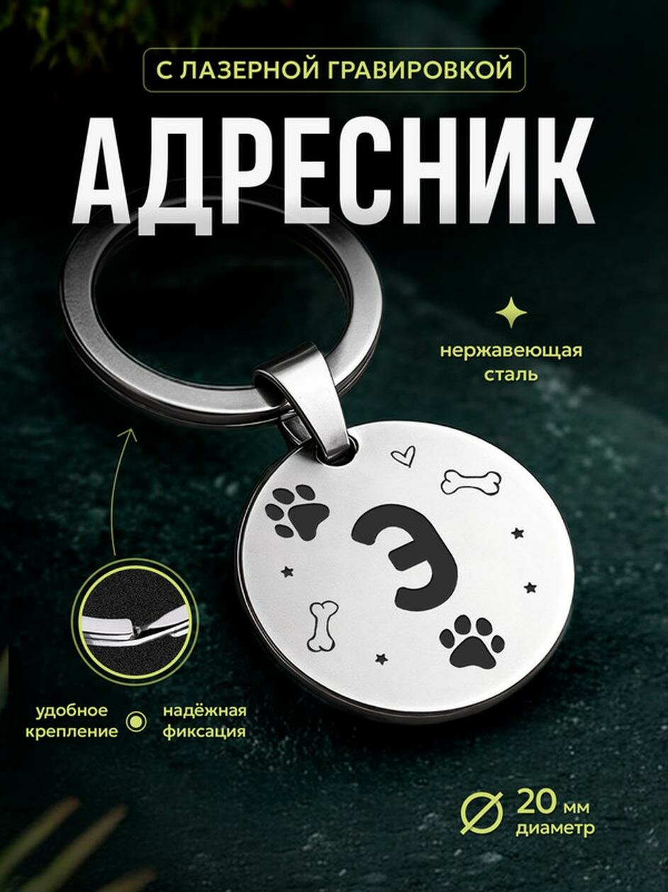 Адресник для собаки и кошки, круглый, серебристый, русская буква Э