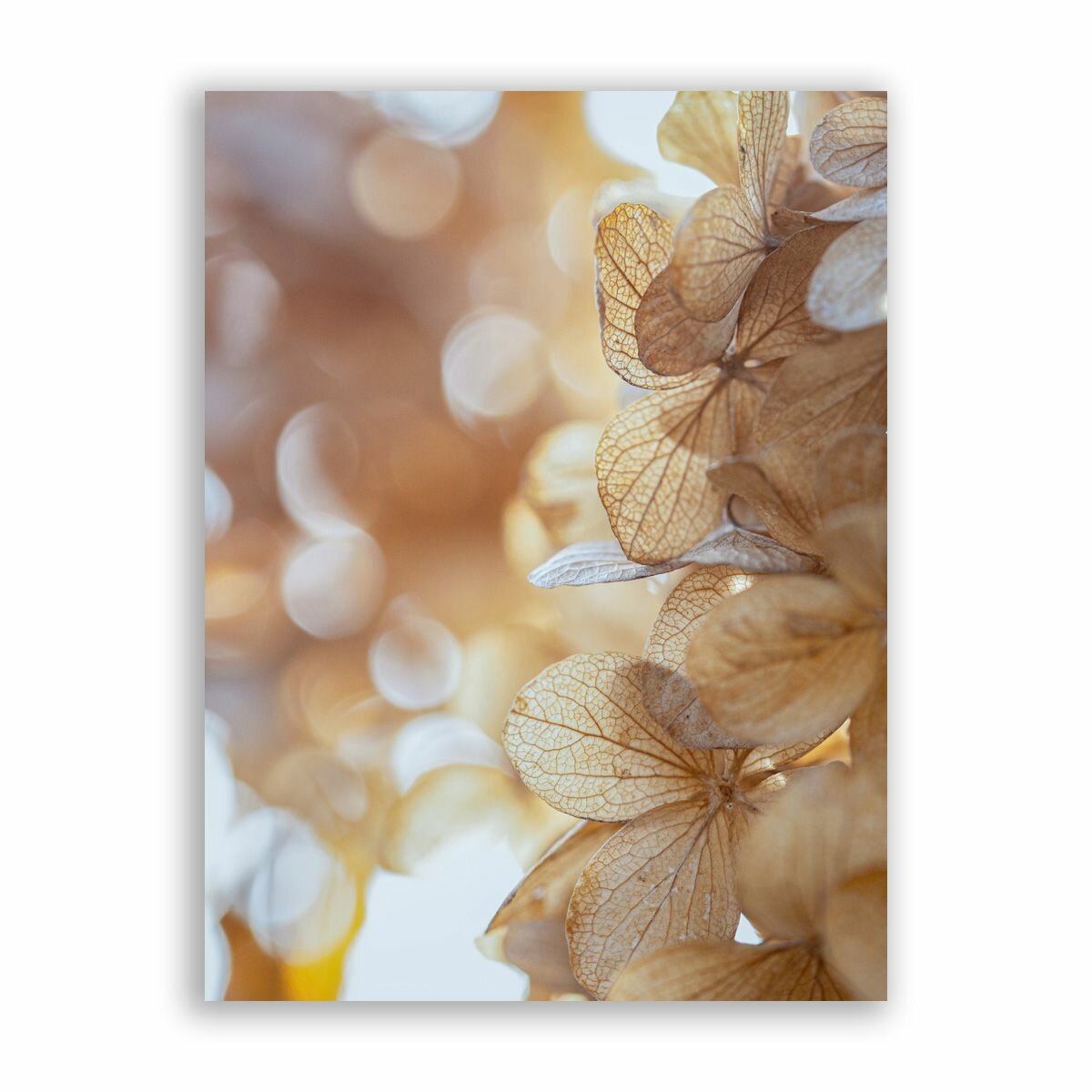 Постер цветы на бумаге / Гортензия / Размер 30 x 40 см