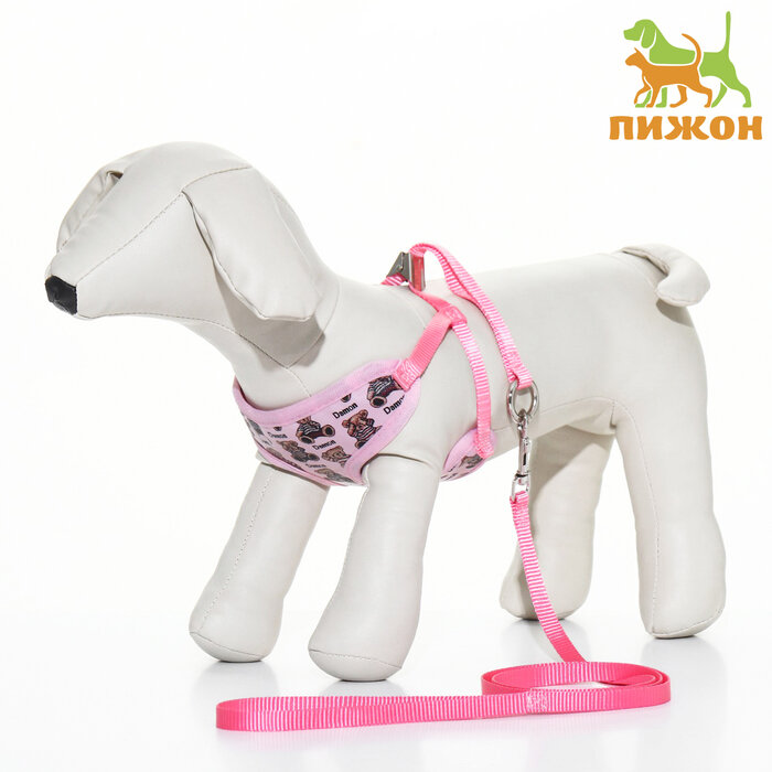 Шлейка с поводком «Дэймон», размер S, поводок 120×1 см см, розовая