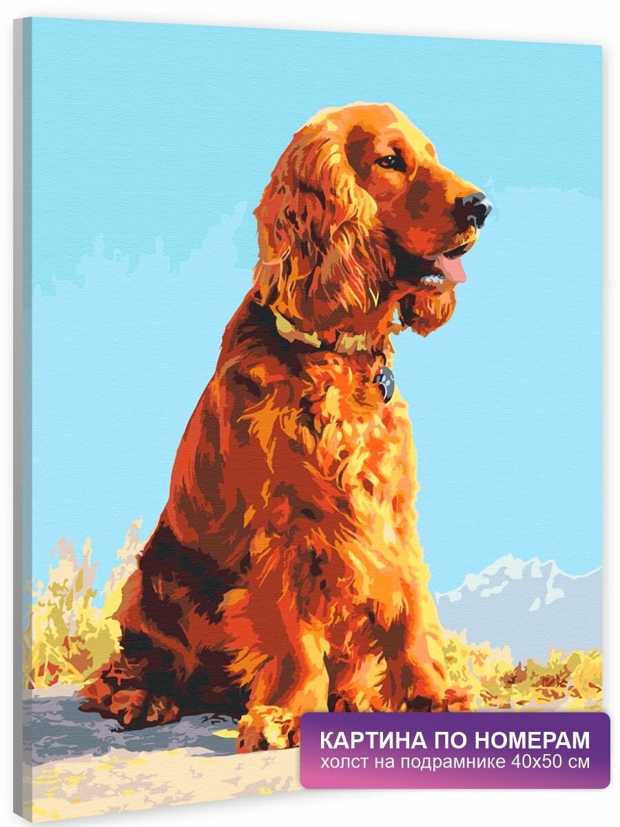 Картина по номерам на холсте с подрамником 40х50 см. Природа, животные, рыбы, птицы. Собаки, щенки. "Спаниель ", арт. 4450/
