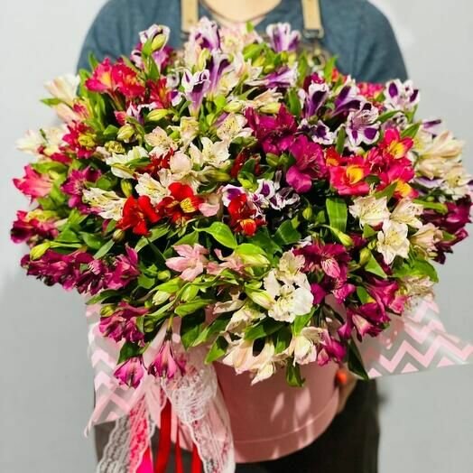 Роскошный букет альстромерии 51 шт.