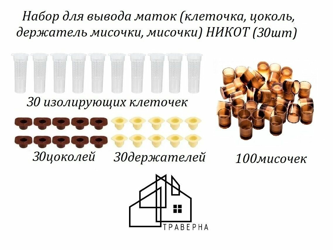 ! ЦДКМ30шт! Набор для вывода маток (клеточка, цоколь, держатель мисочки, мисочки) никот (30шт)