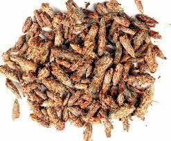 Сосновая почка 50 гр. сбор 2023 г. Добавка к чаю