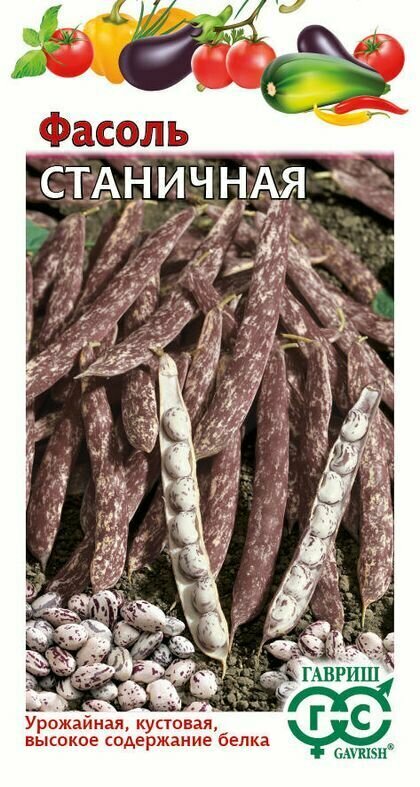 Семена растения фасоль станичная
