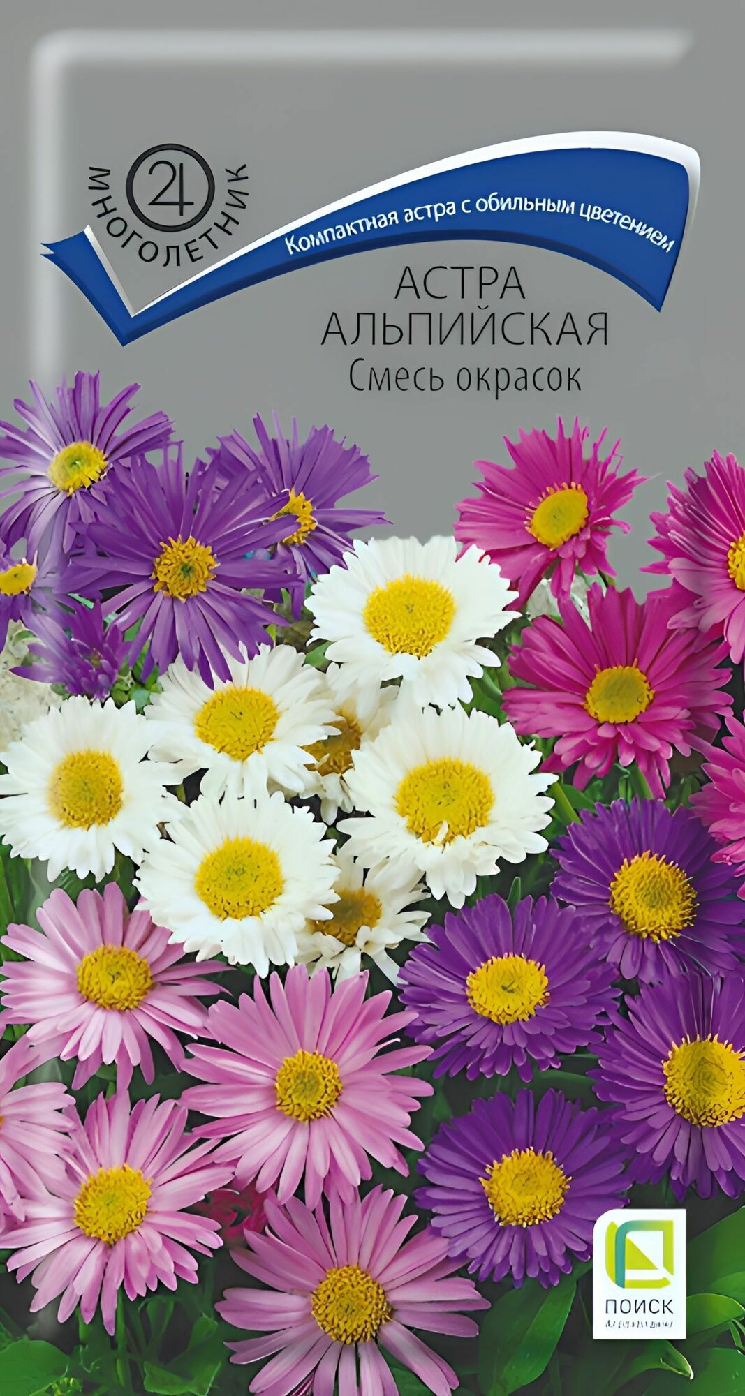 Семена цветов Поиск "Астра альпийская", Смесь окрасок, 0,3 гр.
