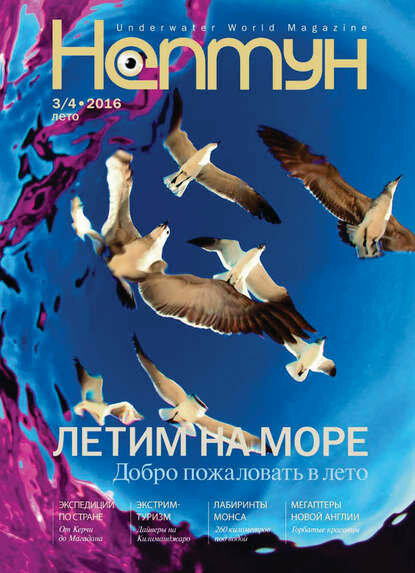 Нептун №3-4/2016 [Цифровая книга]