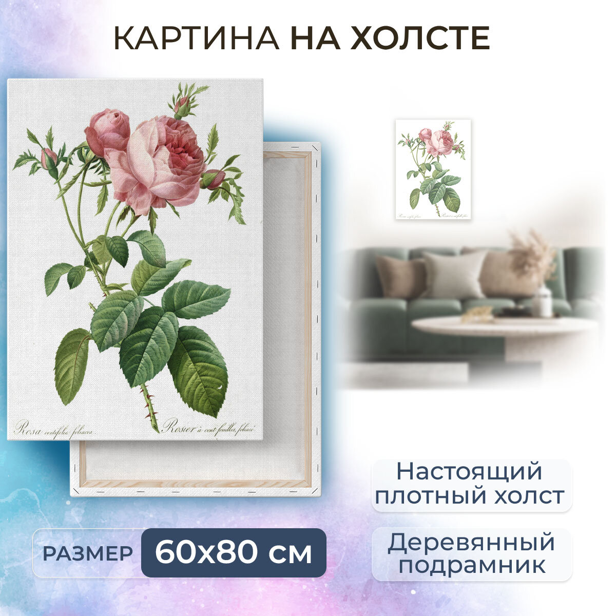 Картина на холсте с подрамником / Pierr - Joseph Redoute / Пьер-Жозеф Редуте