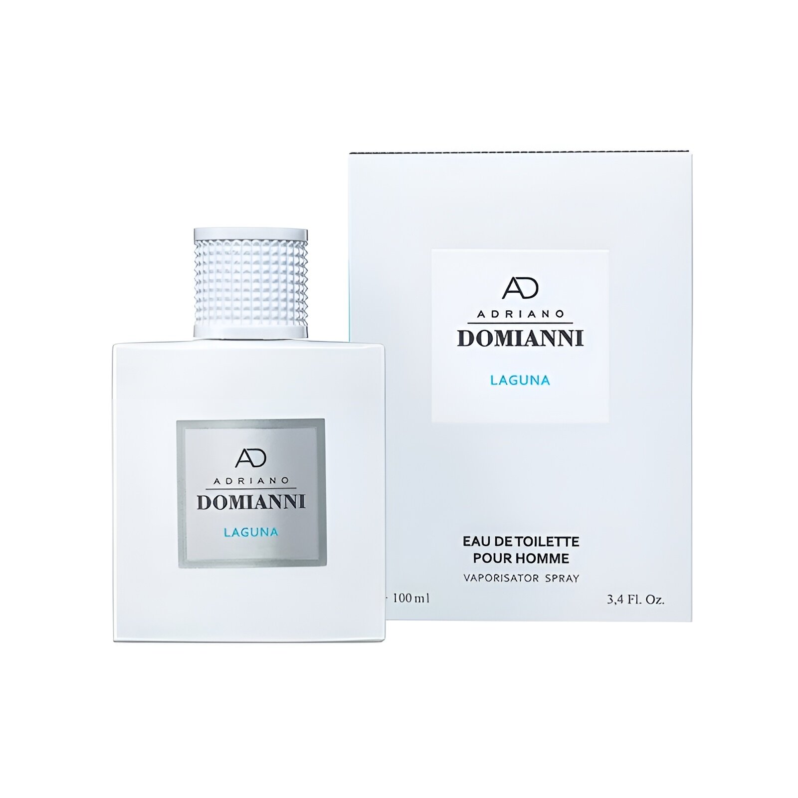 Туалетная вода Adriano Domianni Laguna 100 мл 100