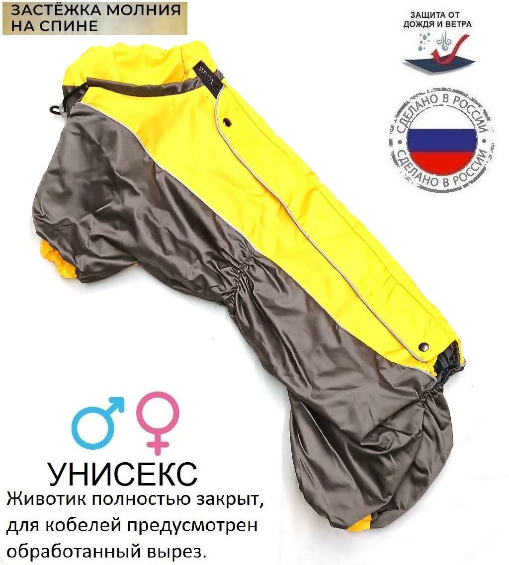 Дождевик-комбинезон для Корги (49см )