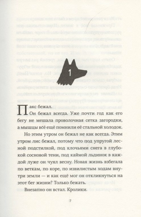 Пакс. Дорога домой — фото 1