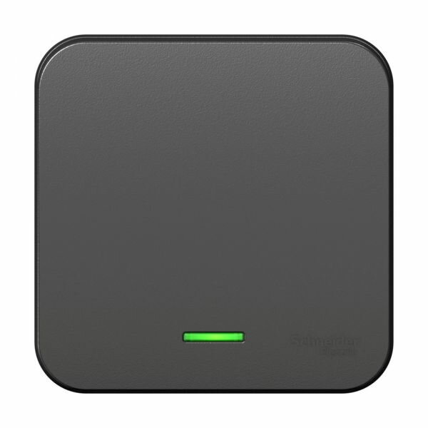 6 шт. Systeme Electric Blanca наружный Антрацит Выключатель 1-клавишный с подсветкой , 10А, 250B, изолир. пластина, BLNVA101116