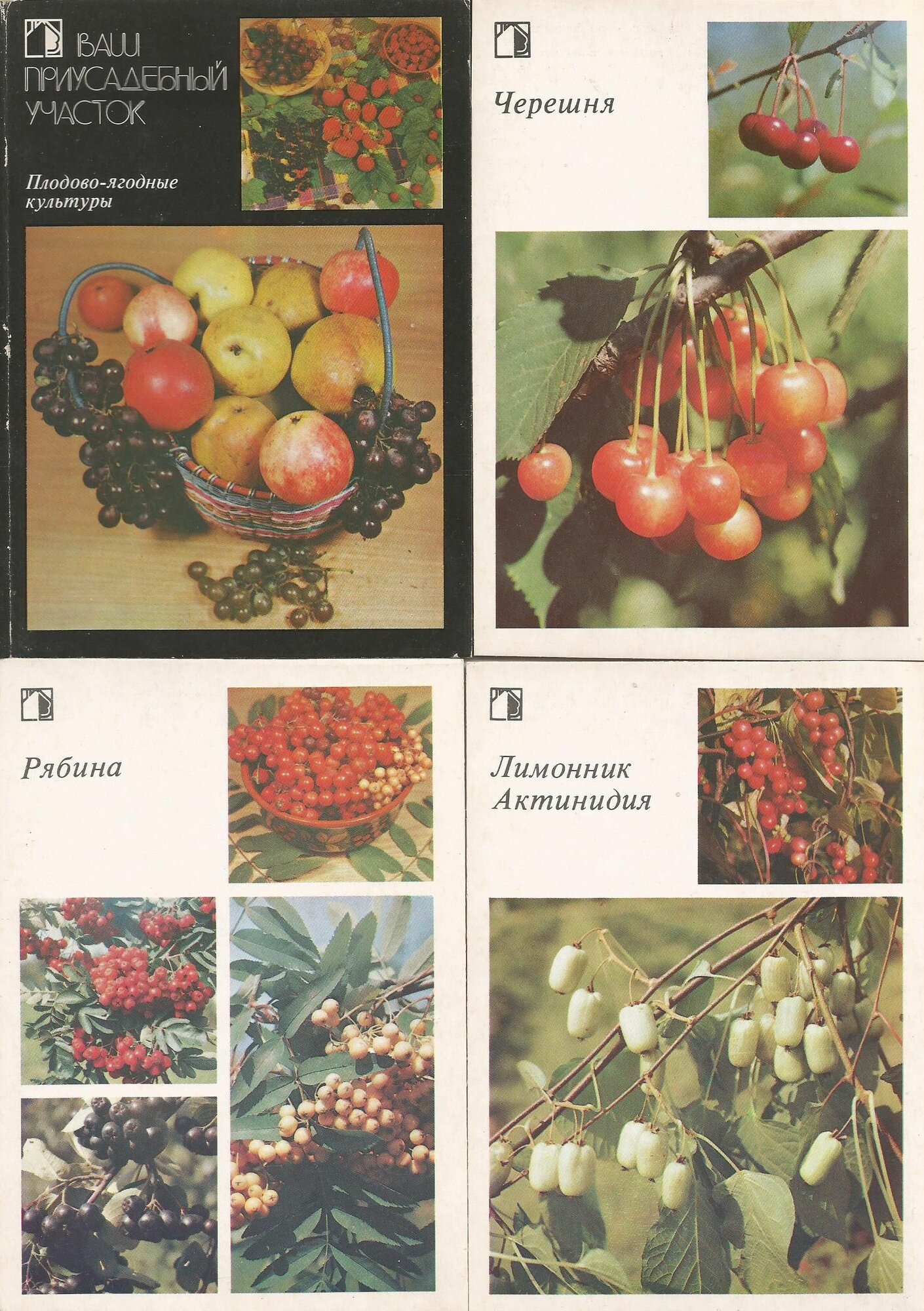 Набор открыток СССР 1986 год. Приусадебный участок. Плодово-ягодные культуры. Чистые, полный комплект 18 штук. Карточка коллекционная