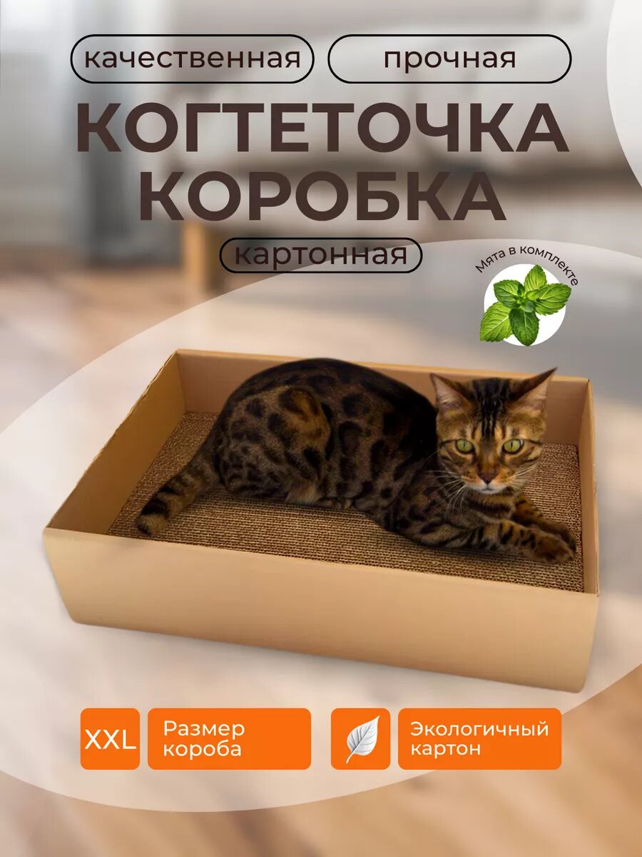 Когтеточка DLV Home коробка, большая картонная когтеточка коробка для кошки