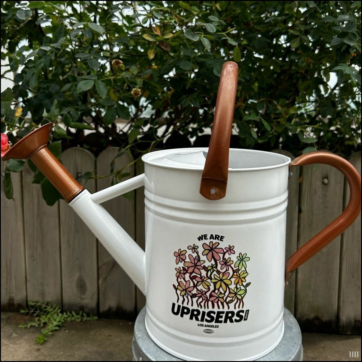 Лейка "вогдаль" G374, для орхидей, металлическая, белая/медная, 1 л