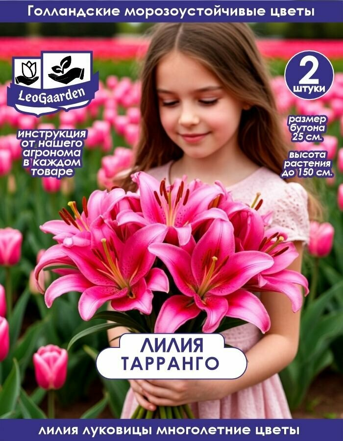 Лилия Луковица, Тарранго, 2 шт